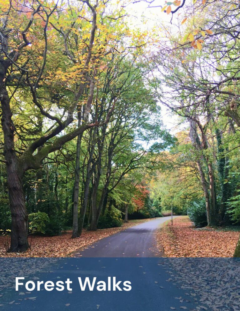 Gormanston Park | Sports, Accommodation, Events All in One Place