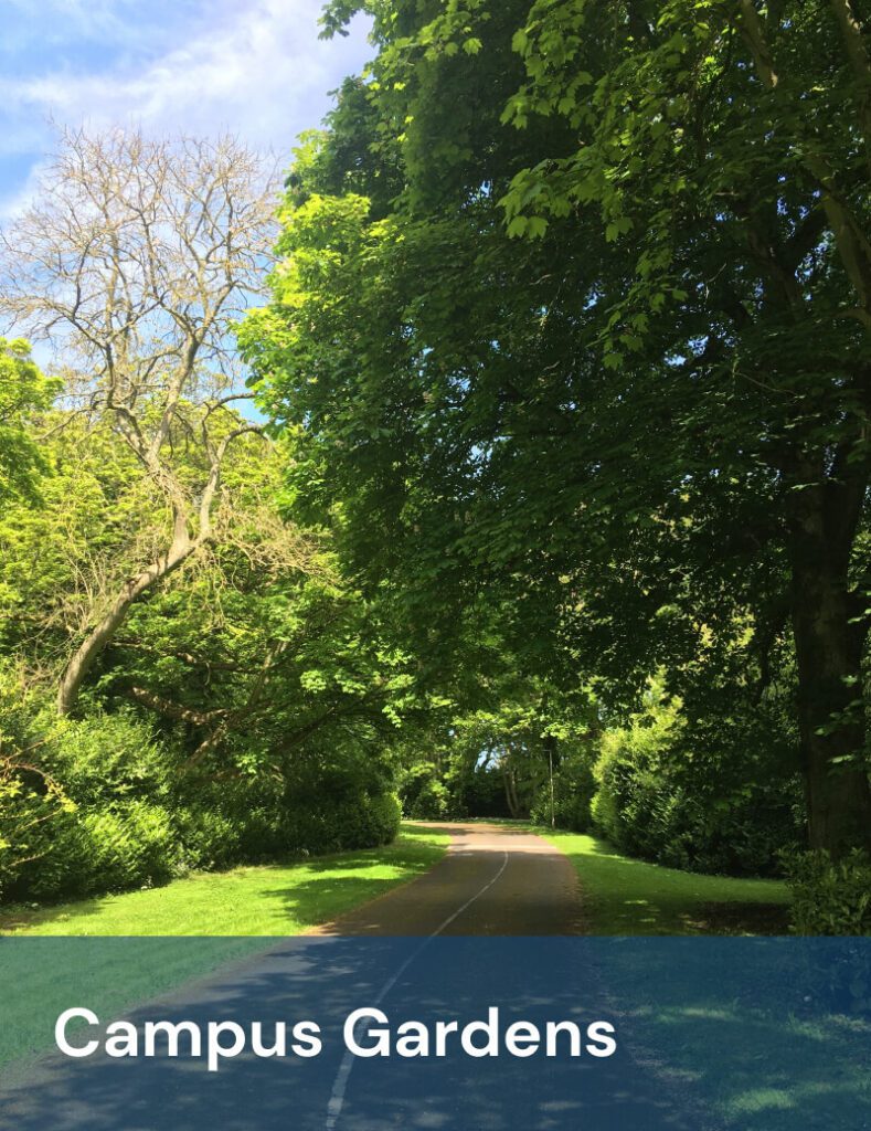 Touring Teams | Gormanston Park
